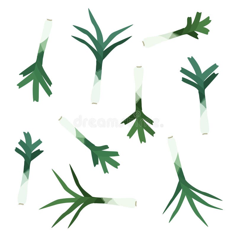 Leek set illustration stock vector. Illustration of food - 111947125
