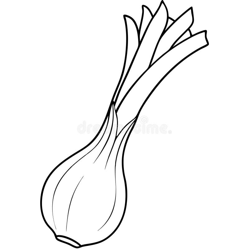 A Leek is Shown in a Black and White Drawing Stock Photo - Illustration ...