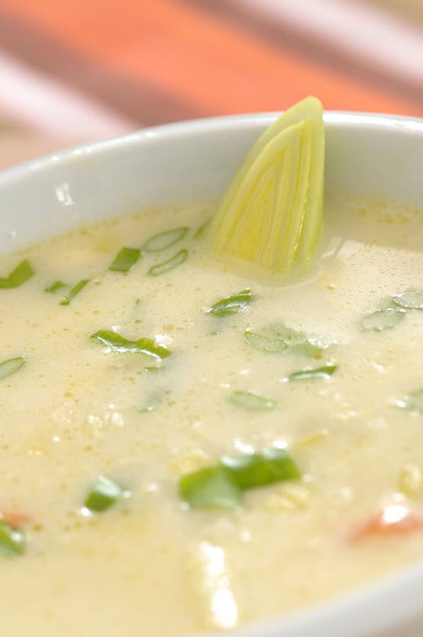 Leek Soup stock photo. Image of dish, chowder, cuisine - 12353064