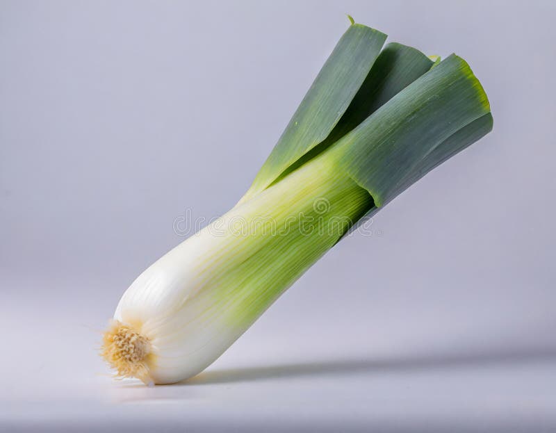 Leek studio shot stock illustration. Illustration of healthy - 300918198