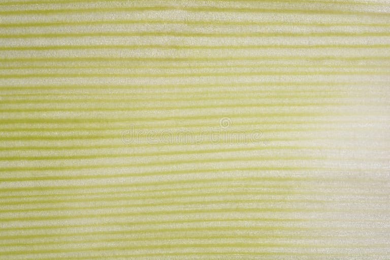 Leek texture stock photo. Image of detail, leek, ingredient - 370575080