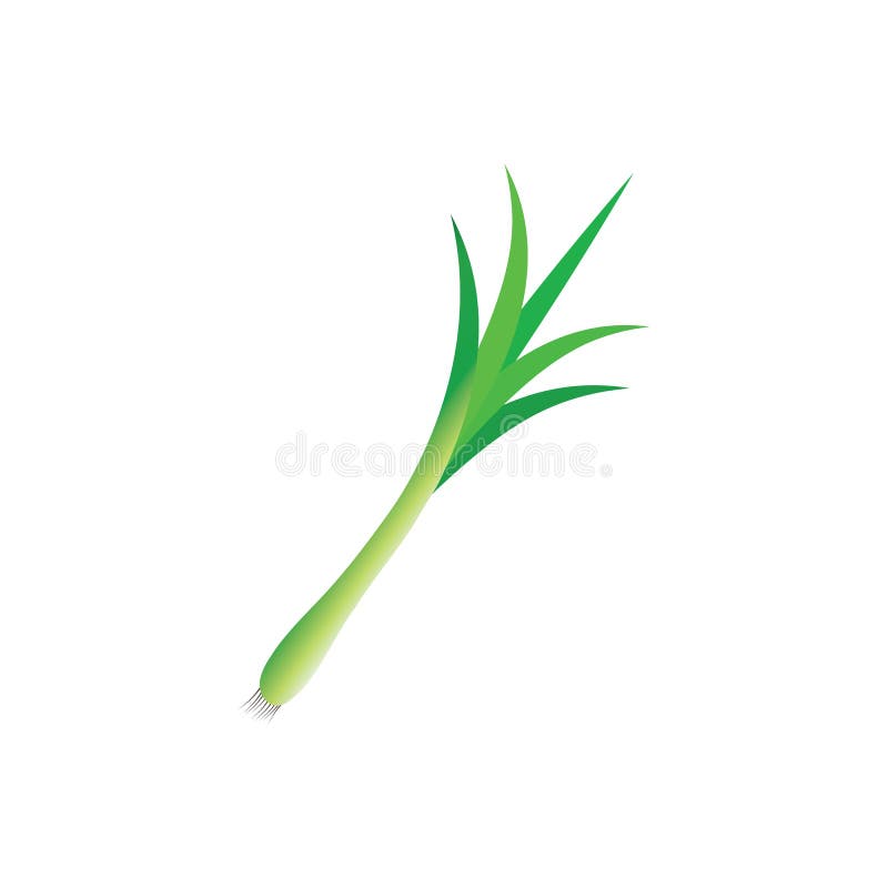 Leek Vegetable Icon Template Stock Vector - Illustration of cook ...