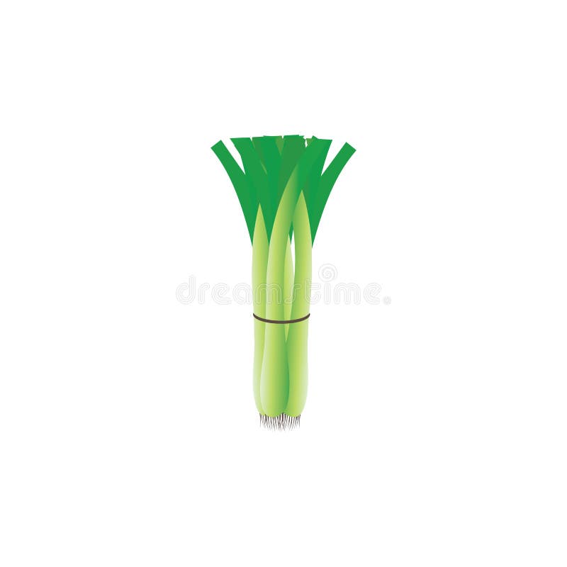 Leek Vegetable Icon Template Stock Vector - Illustration of cooking ...