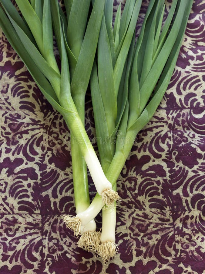Leeks stock photo. Image of winter, green, color, selective - 23704438