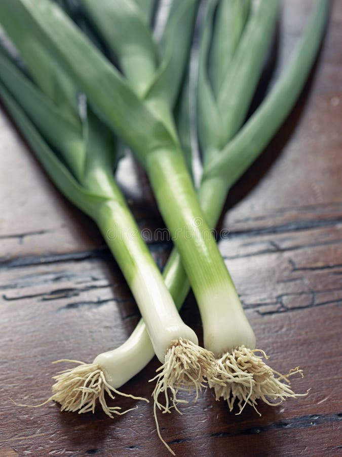 Leeks stock photo. Image of ingredient, color, green - 23707942