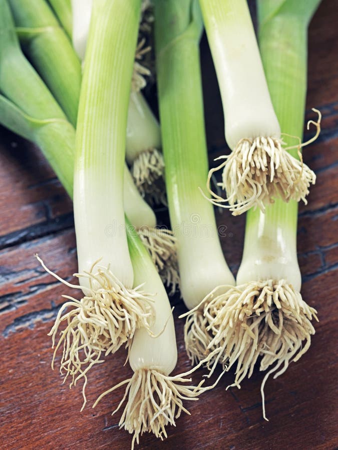 Leeks stock photo. Image of color, ingredient, focus - 23704444