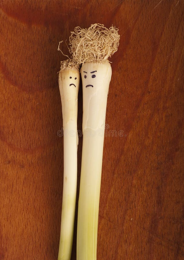 Leeks stock image. Image of pair, ideas, studio, vegetable - 53378343