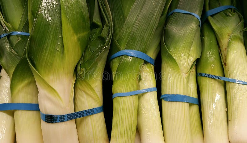Leeks stock image. Image of stand, yellow, market, vegetables - 79113871