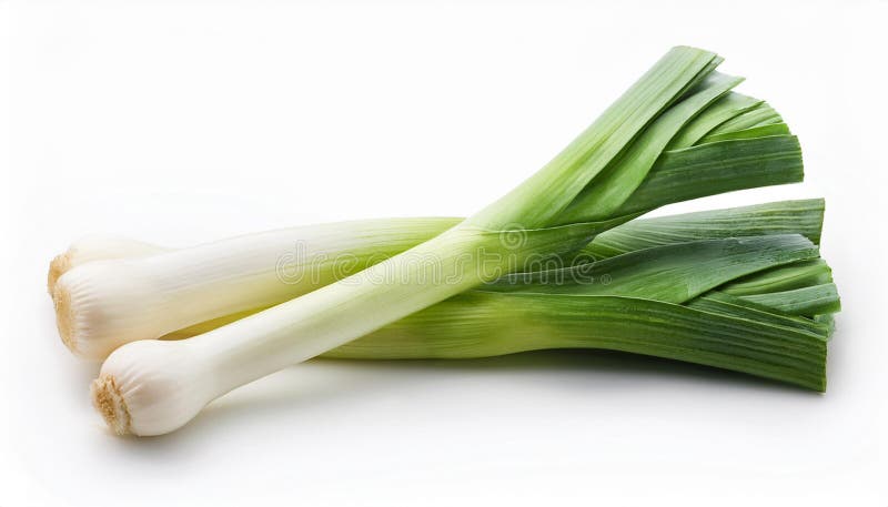 Leeks on a White Background_ Stock Illustration - Illustration of salad ...