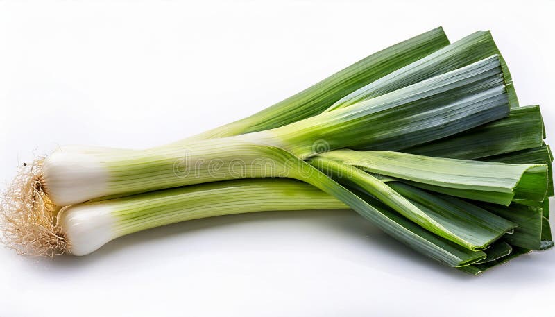 Leeks on a White Background_ Stock Illustration - Illustration of ...