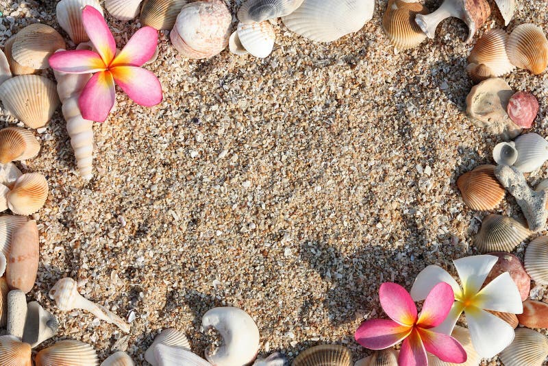 Leelawadee Flower and Shell Frame Stock Image - Image of flower ...
