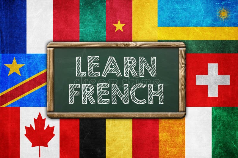 Leer Het Frans Kruiswoordraadselspel Met Dieren Onderwijspagina Voor ...