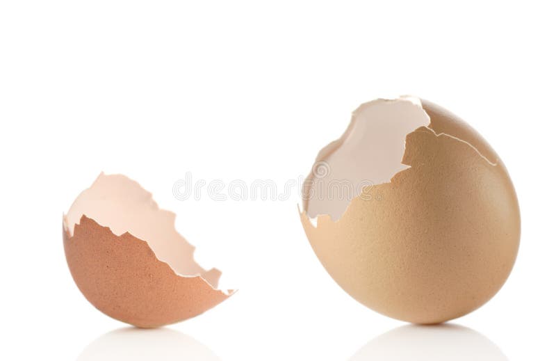 Eierschale. stockbild. Bild von schwarzes, industrie - 12803885