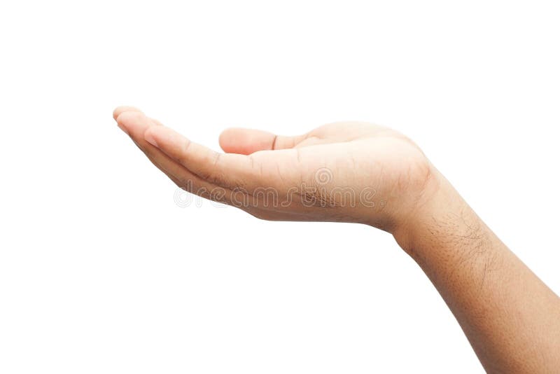 Leeren Sie offene Hand stockbild. Bild von hand, kaukasisch - 28688131