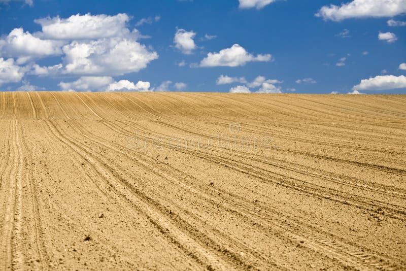 Leeres Feld stockfoto. Bild von cape, saatgut, europa - 4983734
