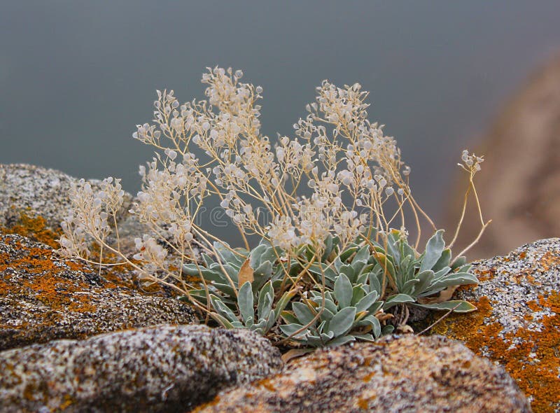 Lefe stock photo. Image of life, crossing, lefe, sunlinghting - 104454760