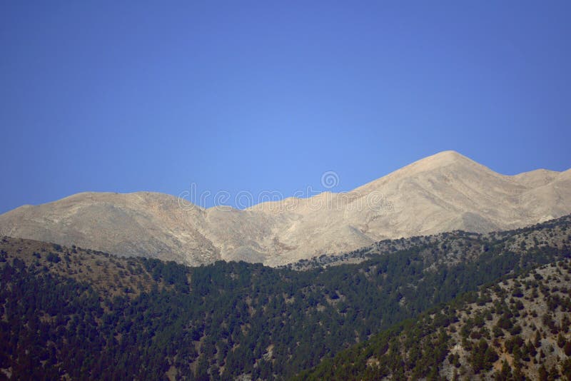 Lefka Ori stock photo. Image of tree, white, bush, mountain - 46562792