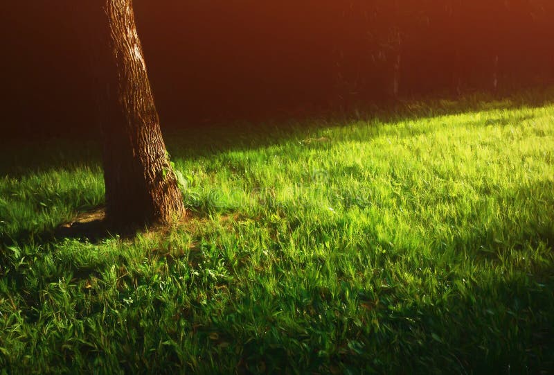 Left Aligned Tree with Light Leak Illustration Stock Illustration ...