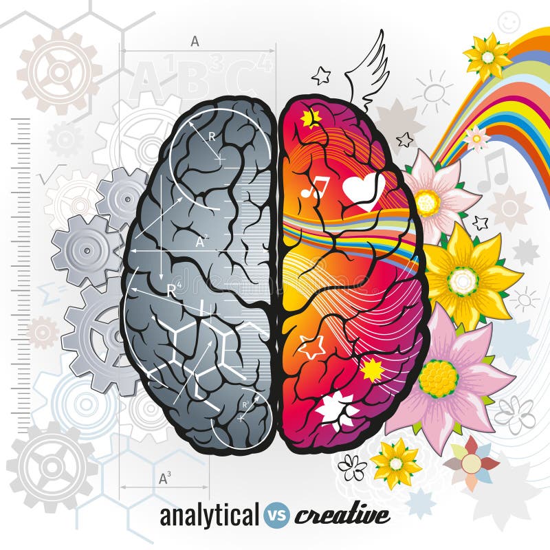Left And Right Brain Art Left And Right Brain Cartoon Vector