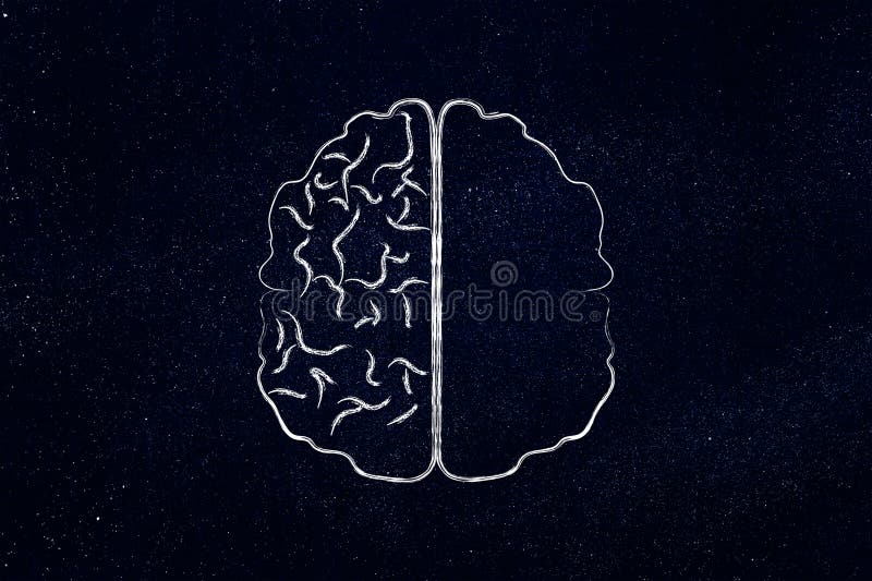 Left Brain Vs Ight Brain, Brain with Empty Right Side and Left Side ...