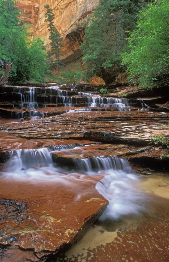 Colorful Waterfall Strata on the Left Fork Stock Photo - Image of ...