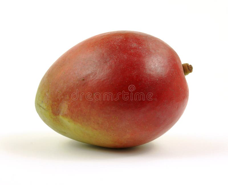 Left front mango stock photo. Image of adaptable, hint - 12187466