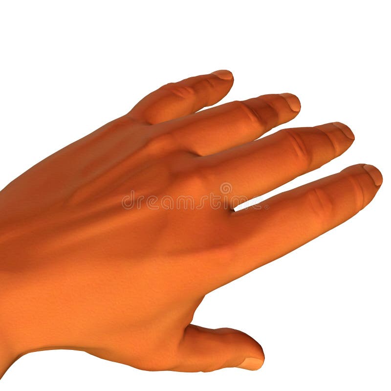 Left hand stock illustration. Illustration of limbs, three - 15705913