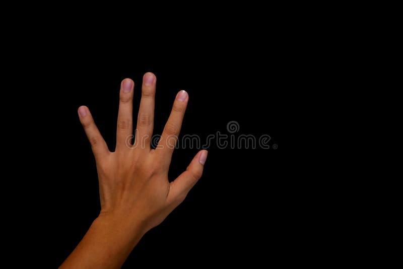 Left Hand of Man Open the Palm Stock Photo - Image of male, confidence ...