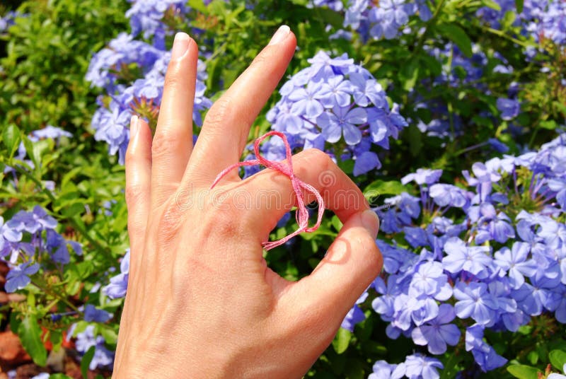 Cancer Female Lady Parts Stock Photos - Free & Royalty-Free Stock ...