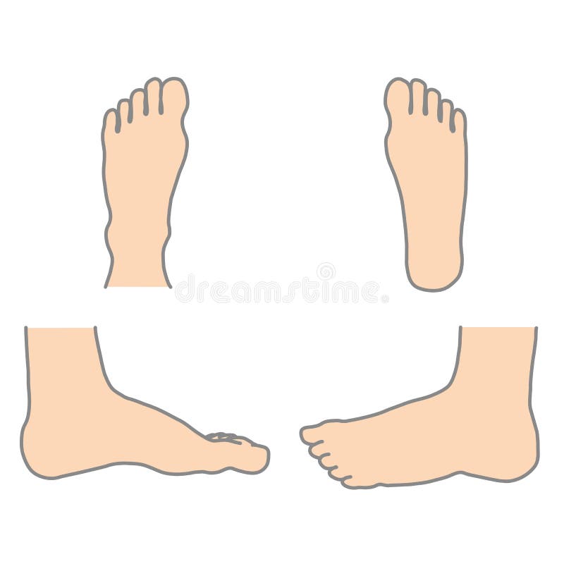 Left human foot stock vector. Illustration of foot, human - 78664935