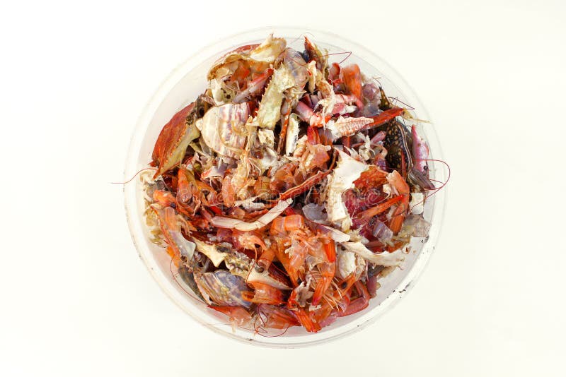 Food Trash, Crab Shell and Shrimp Shell Stock Image - Image of kitchen ...
