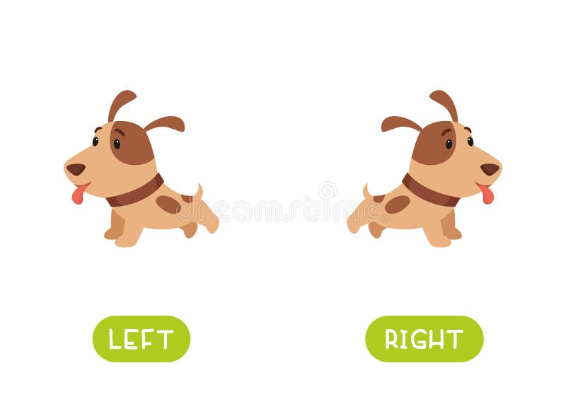 LEFT and RIGHT Antonyms Word Card Vector Template. Flashcard for ...