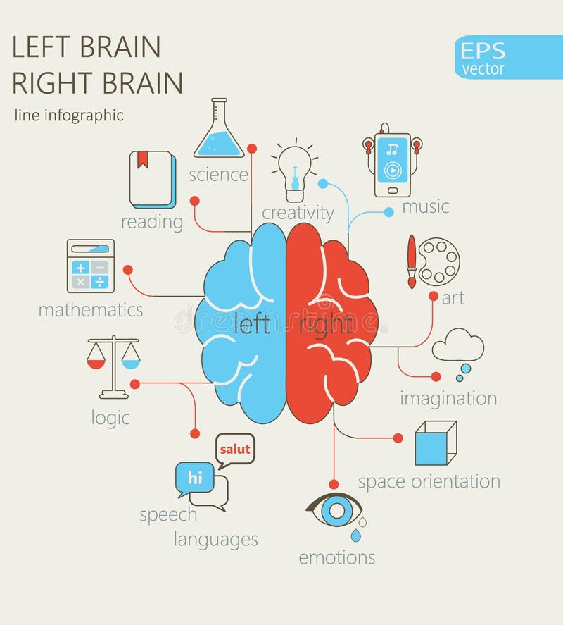 Left and Right Brain Concept. Stock Vector - Illustration of cerebrum ...