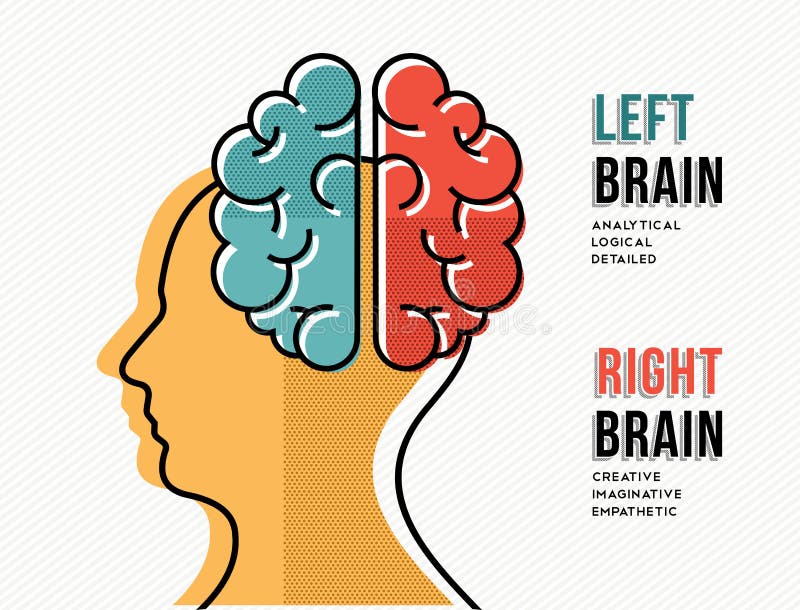 Left and Right Brain Concept with Head Silhouette Stock Vector ...
