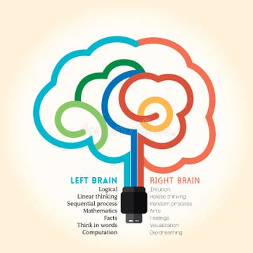 Brain Function Stock Illustrations – 11,487 Brain Function Stock ...