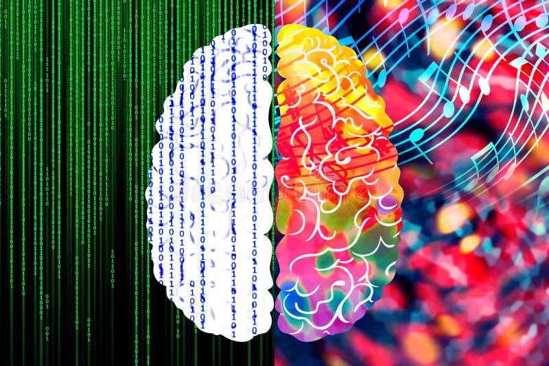 Left Right Brain Functions Info Stock Illustrations – 4 Left Right ...