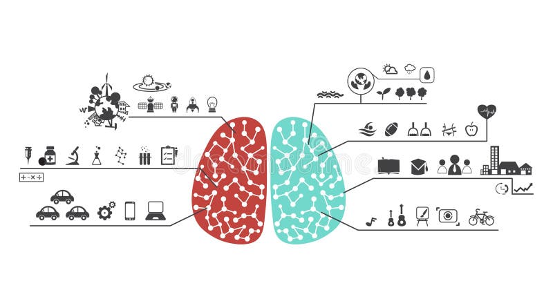 Left and Right Brain Functions Icon Stock Vector - Illustration of ...