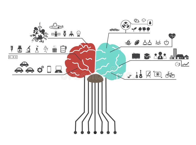 Left and Right Brain Functions Icon Stock Vector - Illustration of ...