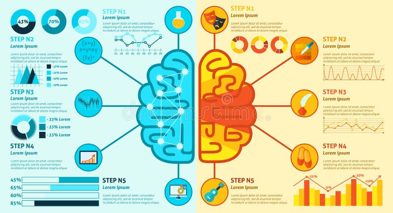 Left and Right Brain Infographics Stock Vector - Illustration of ...