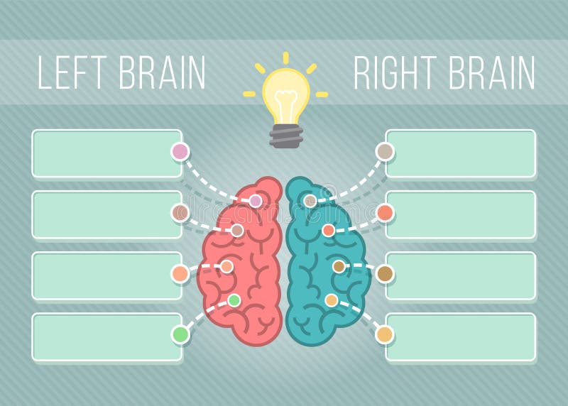 Left and Right Brain Infographics Stock Vector - Illustration of ...