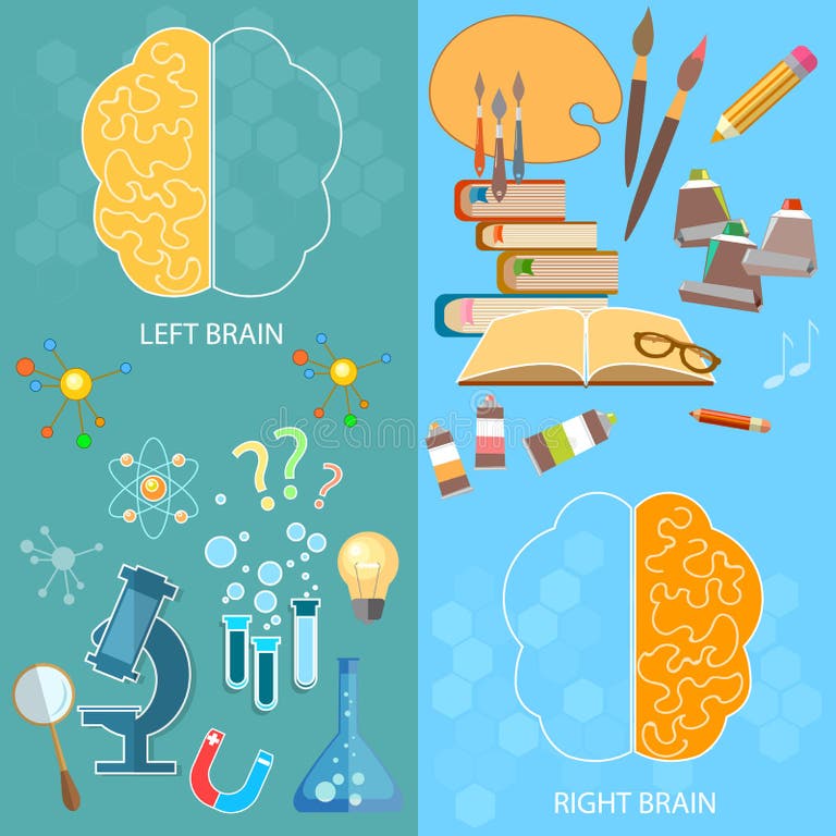 Left and Right Brain, Logic and Creativity Stock Vector - Illustration ...