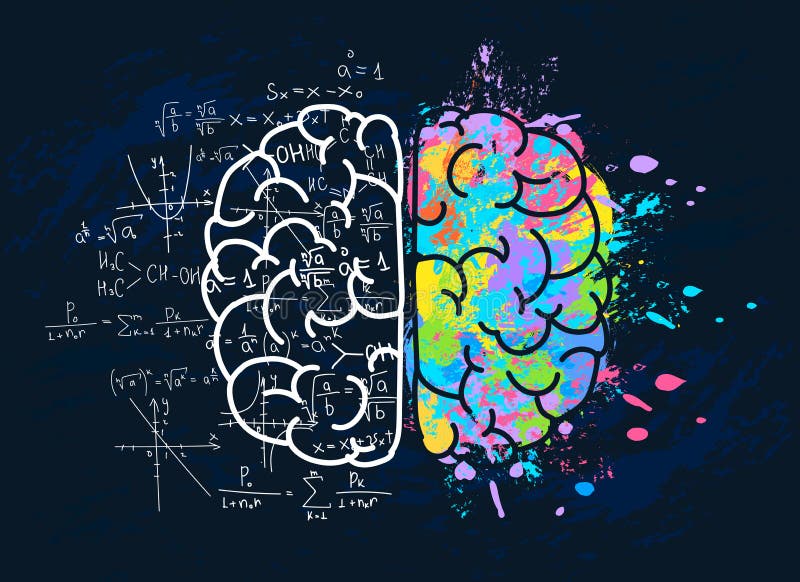 Brain Lateralization stock vector. Illustration of brain - 60720478