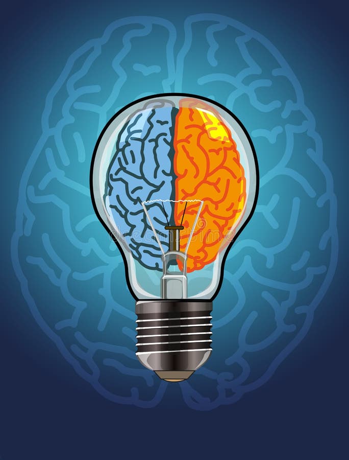 Left Brain Right Brain Stock Illustrations – 1,897 Left Brain Right ...