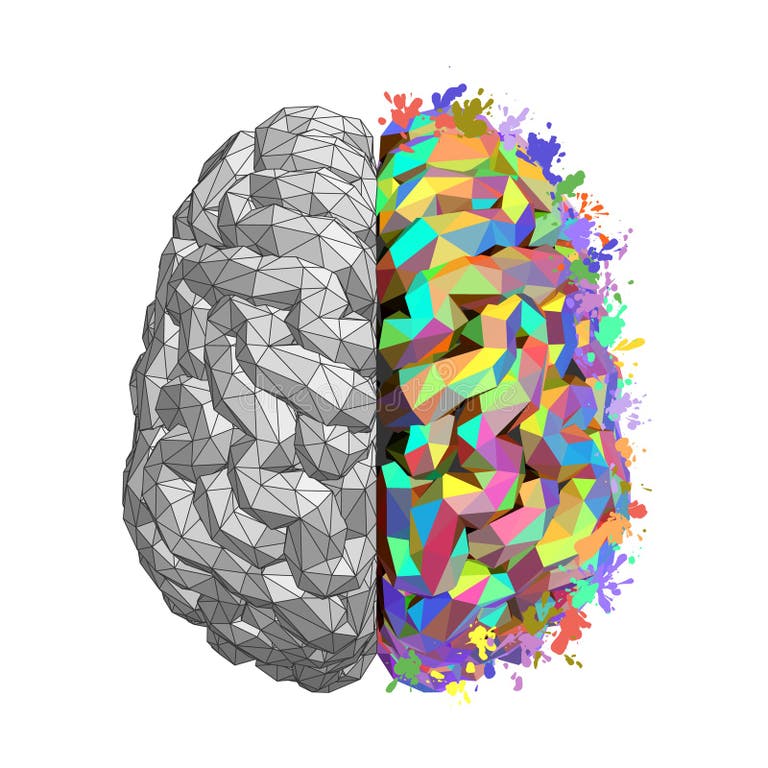 Left and Right Hemisphere of Human Brain Concept, Logical Thought of ...