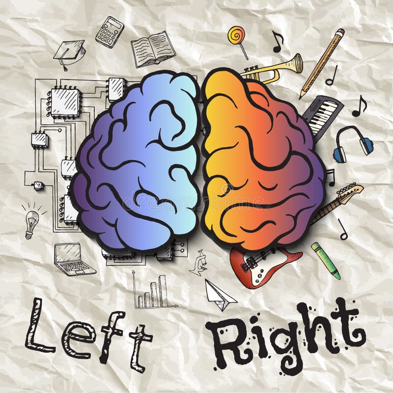 The Left and Right Hemispheres of the Brain. Stock Vector ...