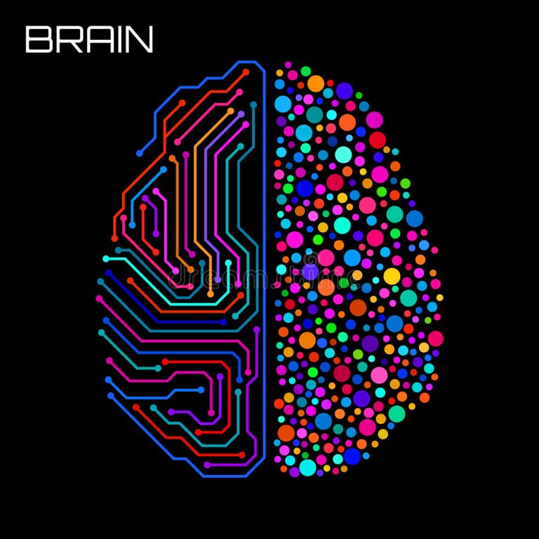 Left Right Human Brain Concept. Logic Part and Creative Part ...