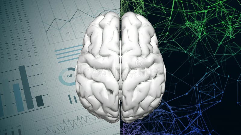 Left and Right Human Brain Partition Concept. Logic Hemisphere and ...