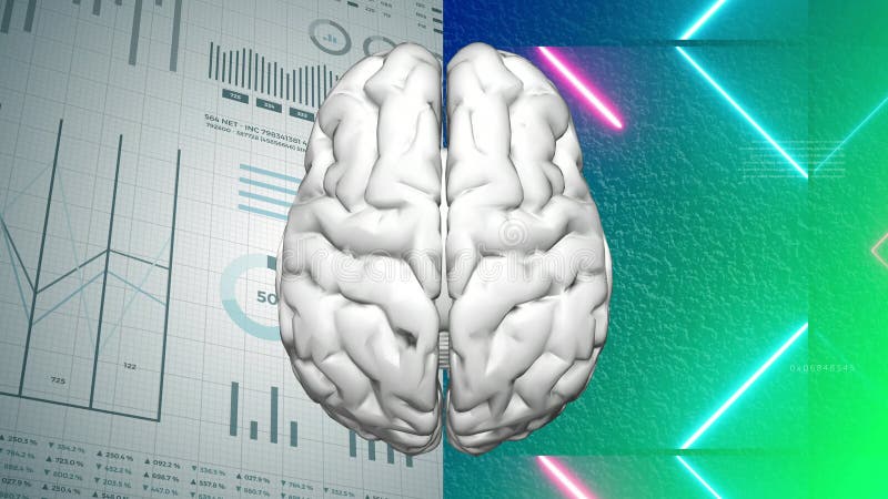 Left and Right Human Brain Partition Concept. Logic Hemisphere and ...