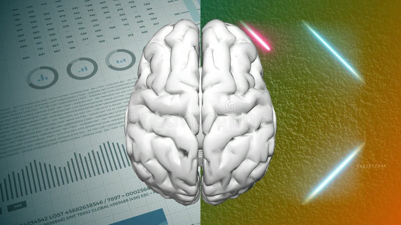 Human Brain, Rotating Animation 3d. Artificial Intelligence Stock ...