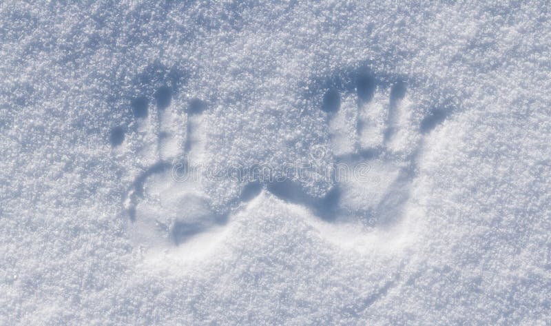Left and Right Human Prints in the Snow. Stock Image - Image of palms ...